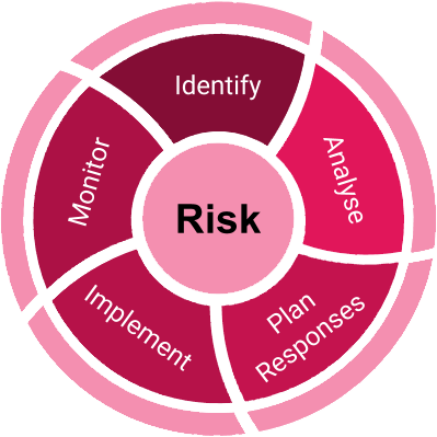 PMP Assess and Manage Risks