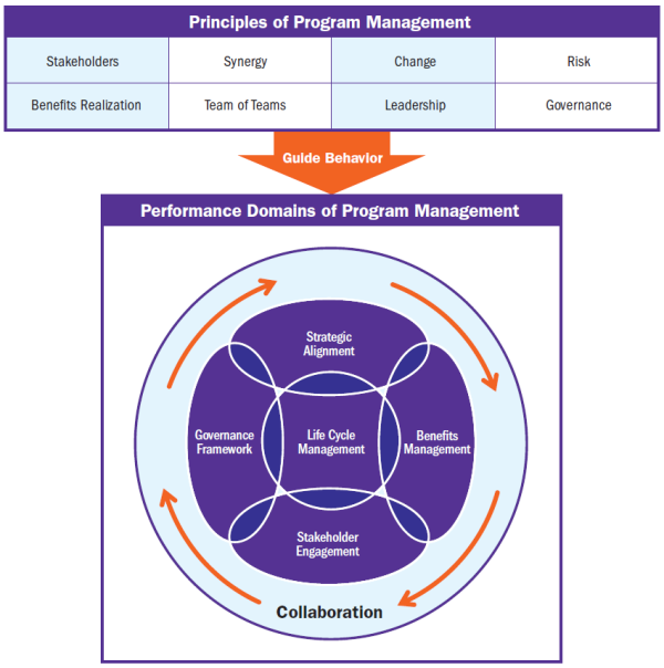 PgMP Program Management Principles